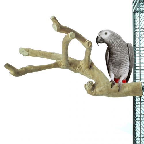 Multi Perch Premium Large