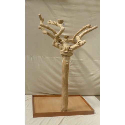 Java TREE Premium + Plateau XL