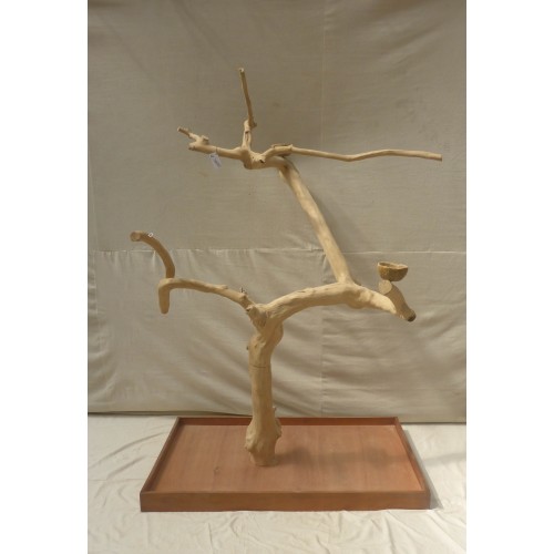 Java TREE Premium + Plateau XL