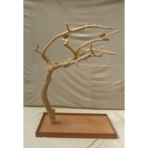 Java TREE Premium + Plateau XL