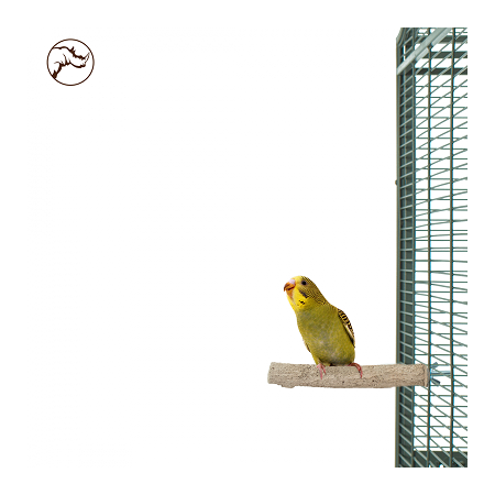 Super Stone Perch S - 10-12cm Parakeet