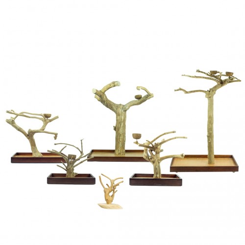 Java TREE Premium + Plateau