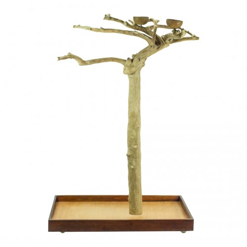 Java TREE Premium + Plateau