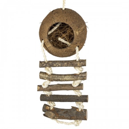 Coconut with Ladder
