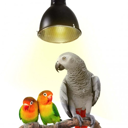 Bird Sun UV-Lamp 70W