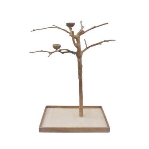 Java Tree Premium + Plateau M