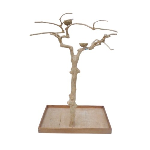 Java Tree Premium + Plateau M