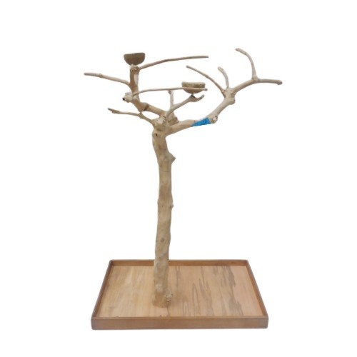 Java Tree Premium + Plateau M