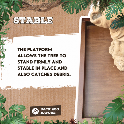 Java TREE Premium + Plateau