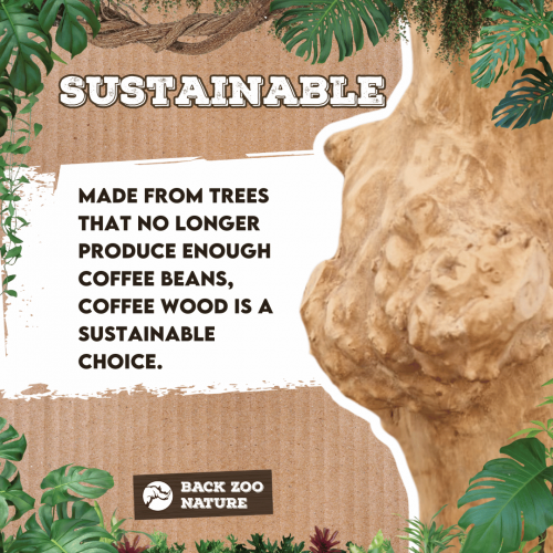 Java TREE Premium + Plateau