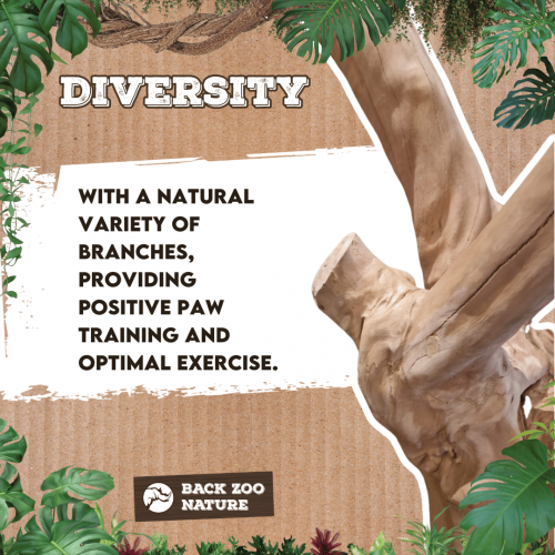 Java TREE Premium + Plateau XXL