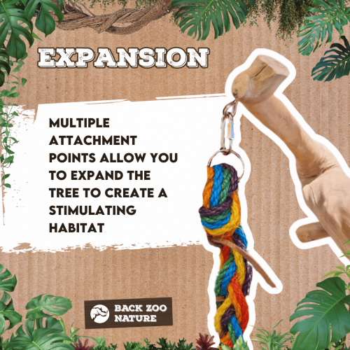 Java TREE Premium + Plateau XXL