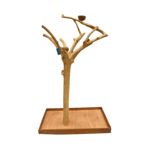 Java TREE Premium + Plateau