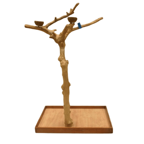 Java TREE Premium + Plateau