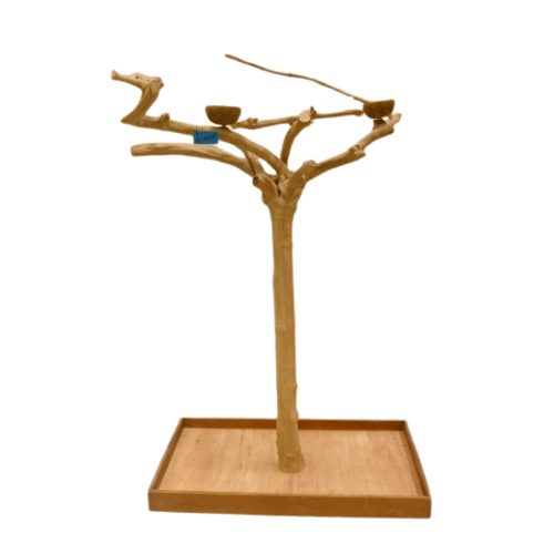 Java TREE Premium + Plateau