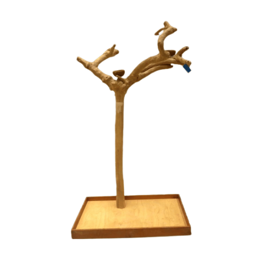 Java TREE Premium + Plateau