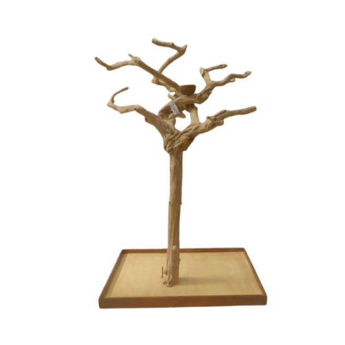 Java TREE Premium + Plateau XXL