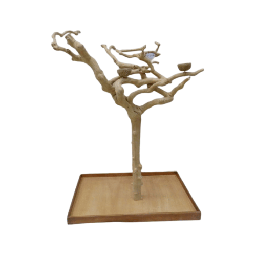 Java TREE Premium + Plateau GIANT