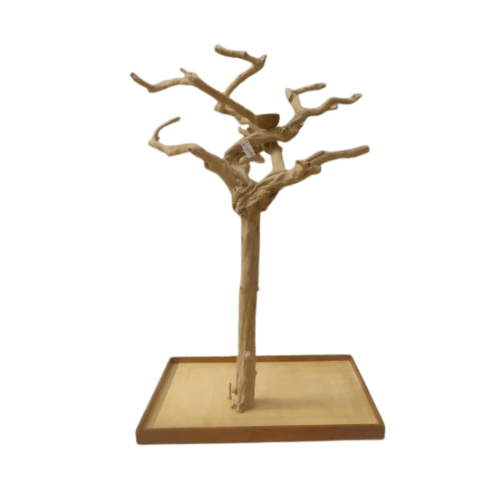 Java TREE Premium + Plateau GIANT