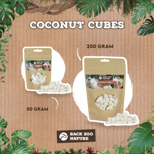 Coconut Cubes 250g
