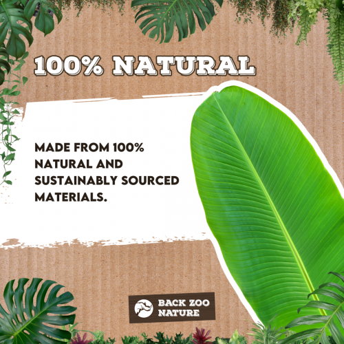 Back Zoo Nature Napa Carnival Pinata