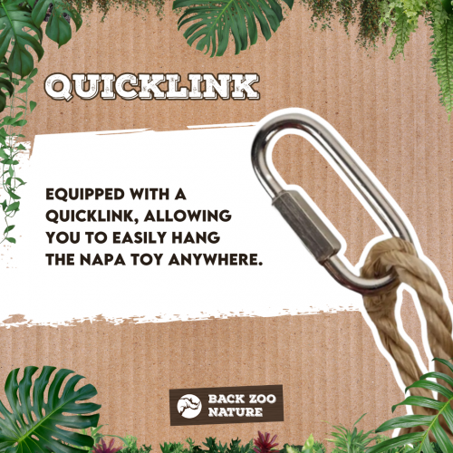 Back Zoo Nature Napa Carnival Pinata