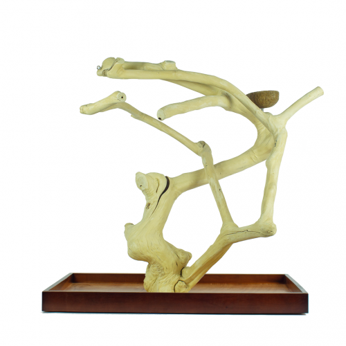 Java Premium Playstand Large